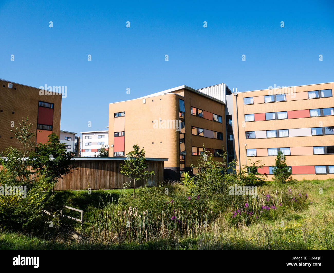 Student Accommodation, University of Reading, Whiteknights, Reading ...