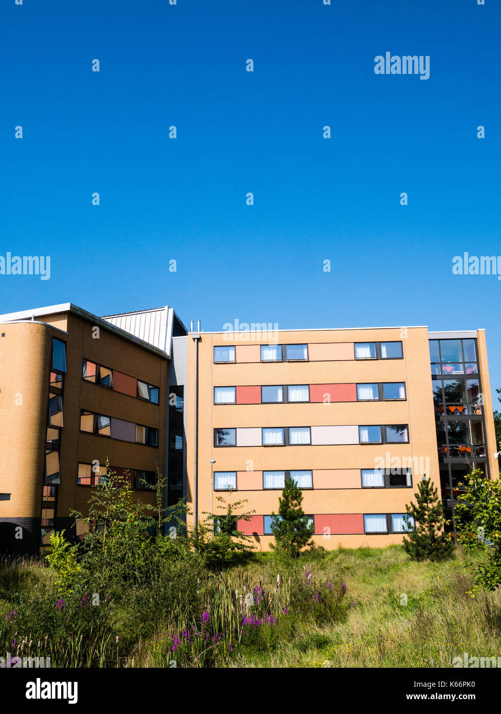 Student Accommodation, University of Reading, Whiteknights, Reading ...