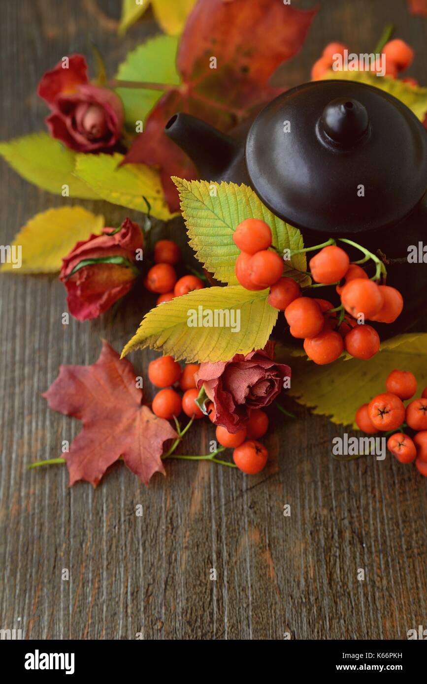 Maple leaves composition hi-res stock photography and images - Alamy
