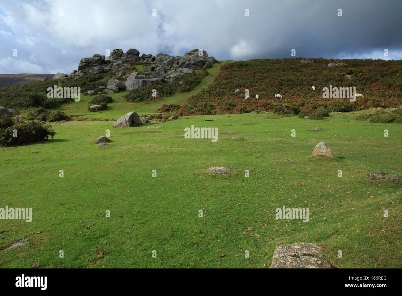 Bonehill rocks, Dartmoor, Devon, England, UK Stock Photo - Alamy