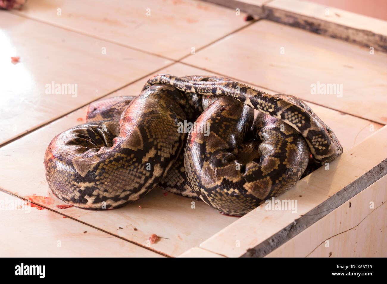 Rat meat market hi-res stock photography and images - Alamy