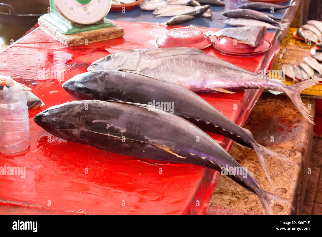 Tuna fishes at market in Indonesia Stock Photo - Alamy