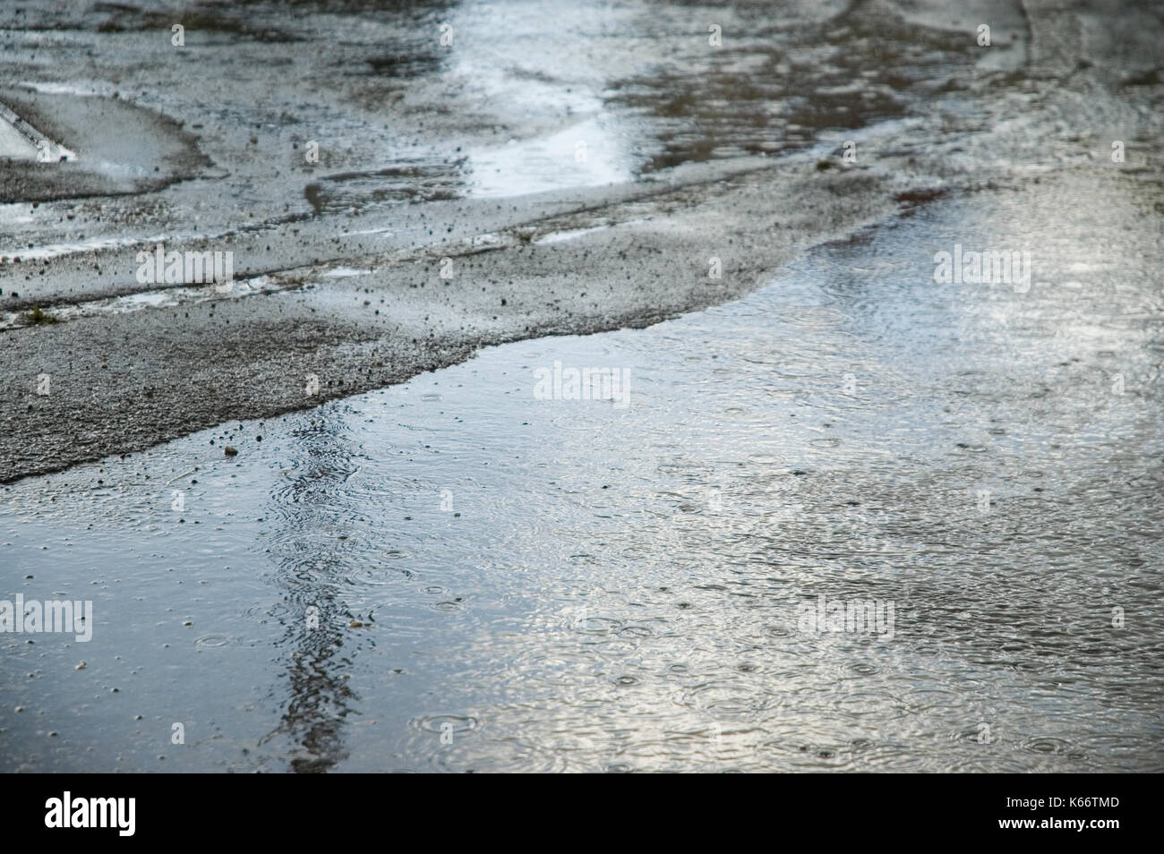 rain on bituminised road Stock Photo - Alamy