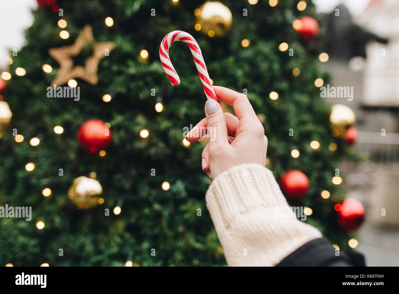 Hand candy cane arm holding hi-res stock photography and images - Alamy