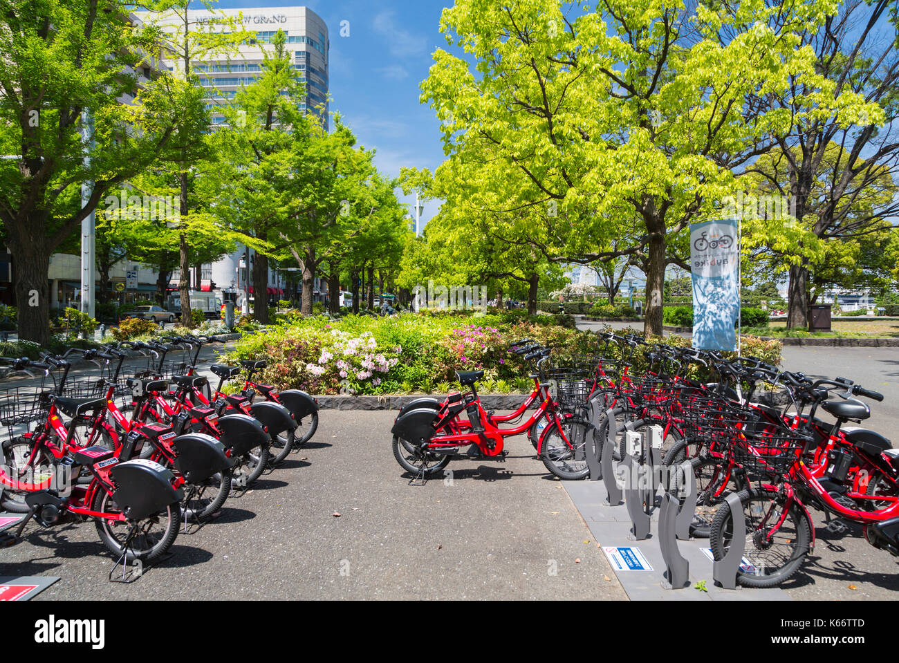 Bicycle parking in Yamashita Park at the port city of Yokohama, Japan ...