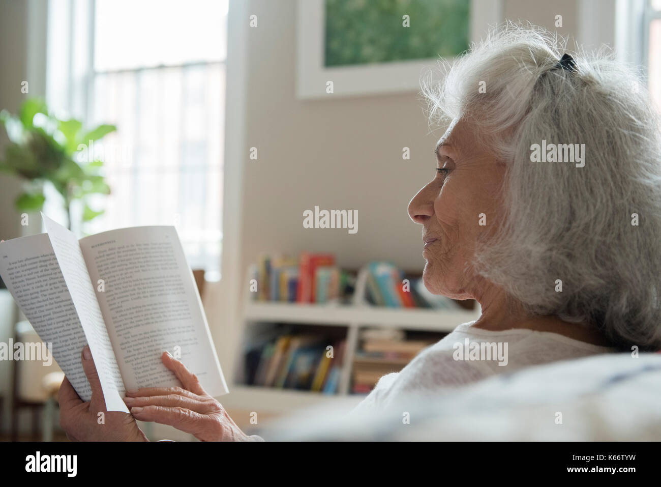 Older woman reading book Stock Photo - Alamy