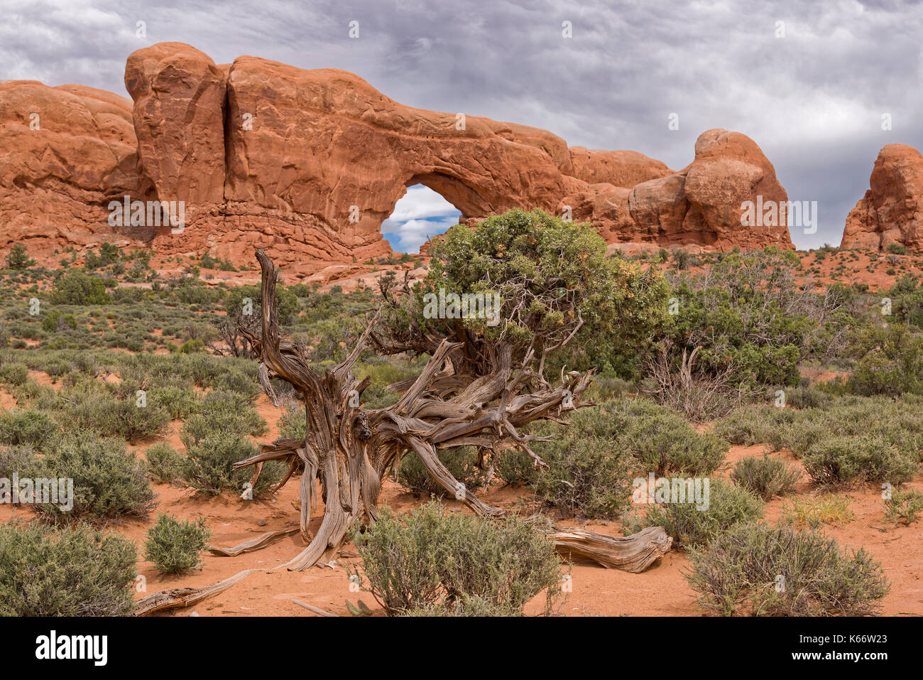 Arches of red rock. Arches National Park, Moab, United States of ...