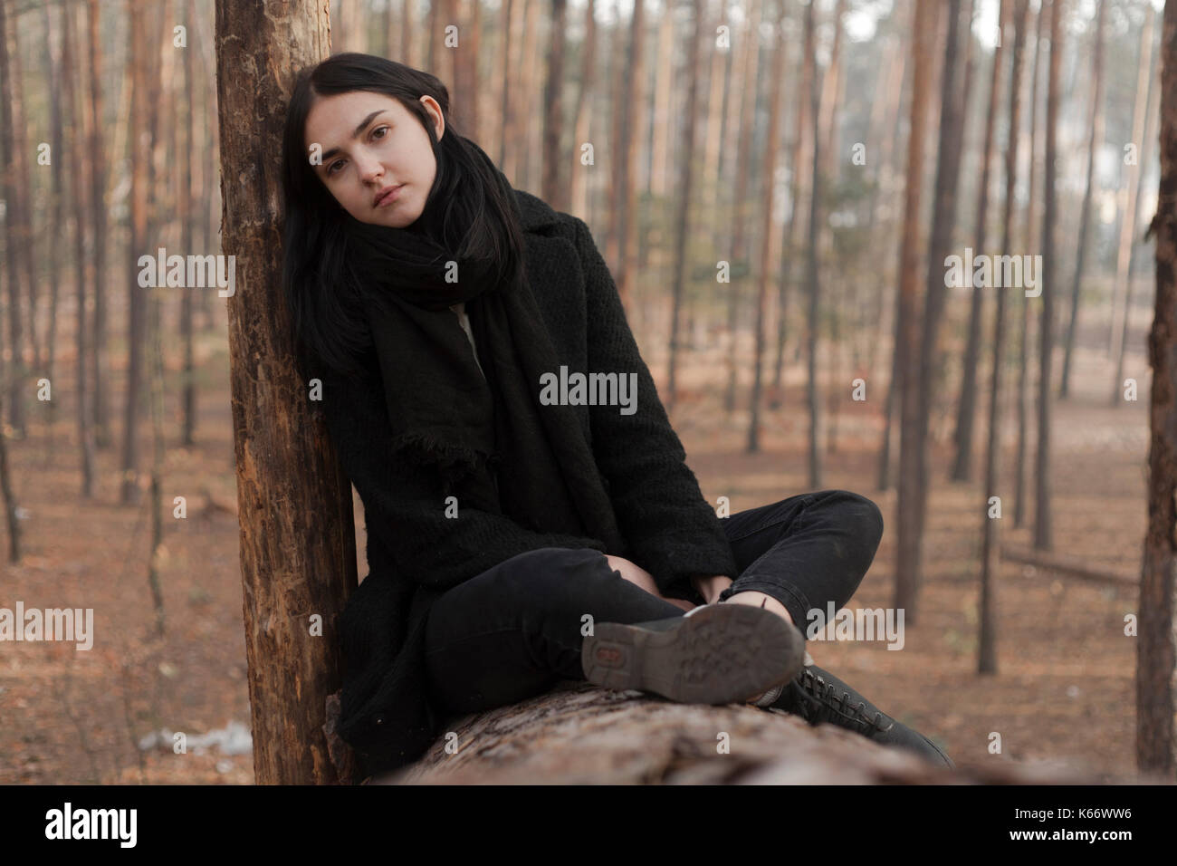 Caucasian woman sitting log wood hi-res stock photography and images ...