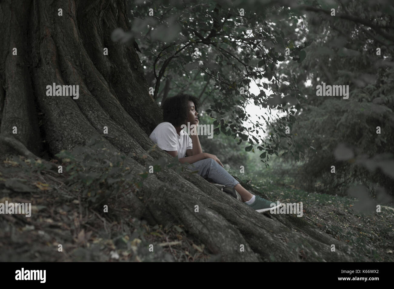 Curly tree roots hi-res stock photography and images - Alamy