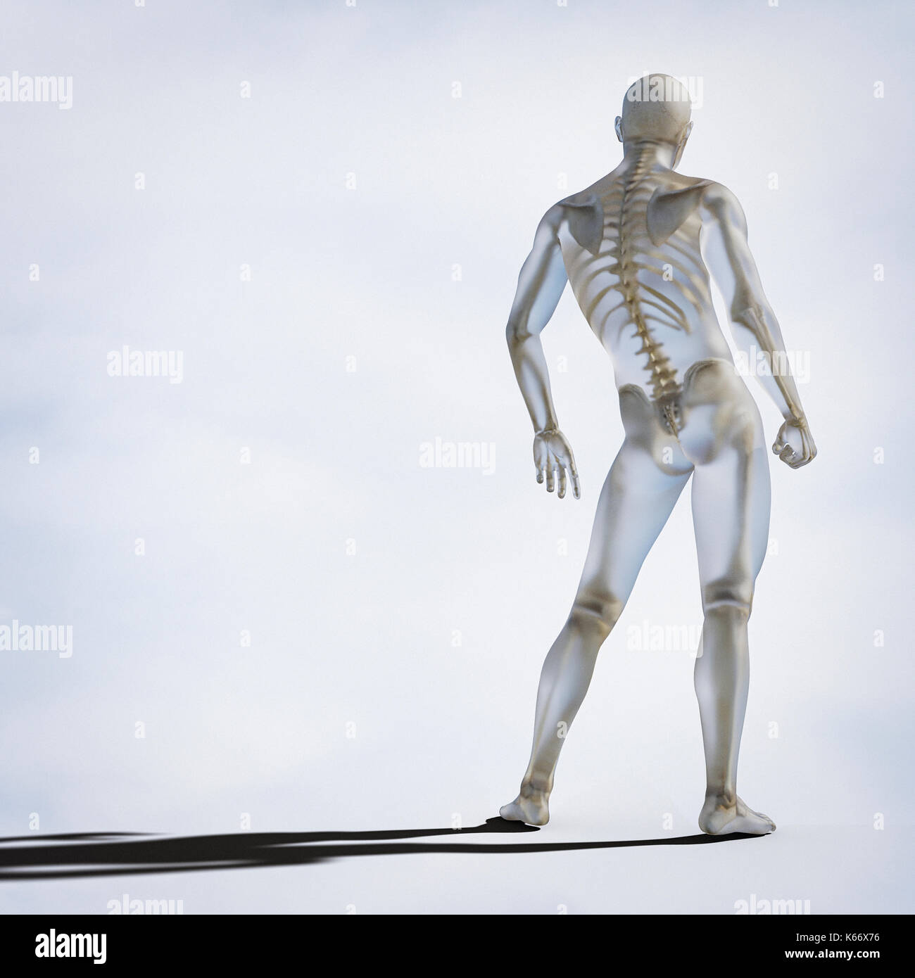 Skeleton inside transparent man Stock Photo - Alamy