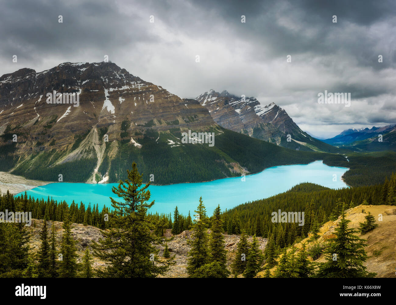 Panorama of Peyto Lake. This is a glacier-fed lake in Banff National ...