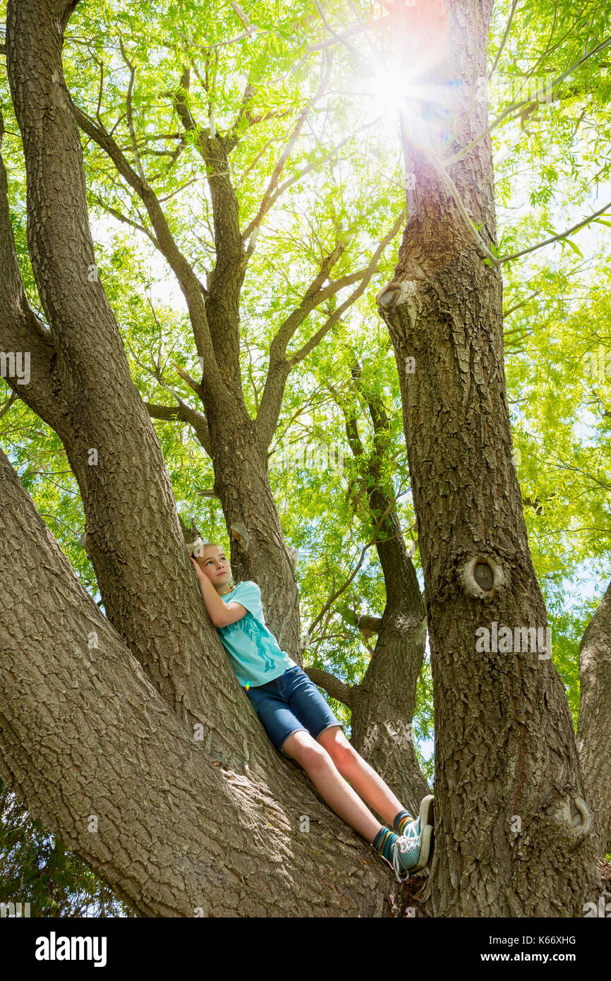 Caucasian girl climbing tree Stock Photo - Alamy
