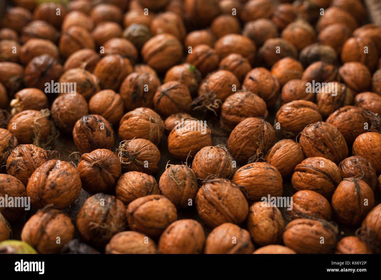 Close up walnuts crop texture hi-res stock photography and images - Alamy