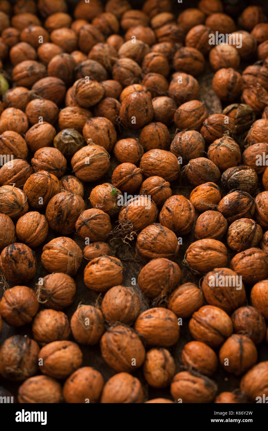Close up walnuts crop texture hi-res stock photography and images - Alamy