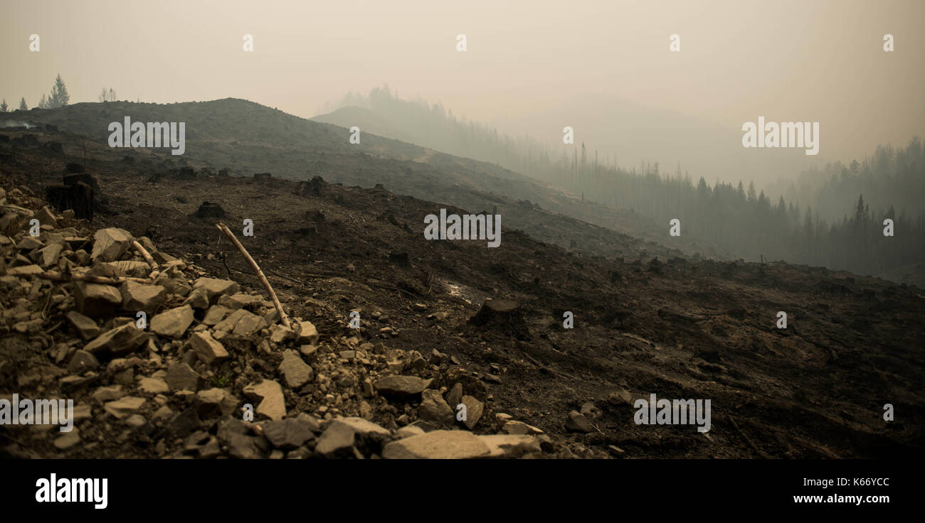 As of early September, the Chetco Bar fire in southwest Oregon burned ...