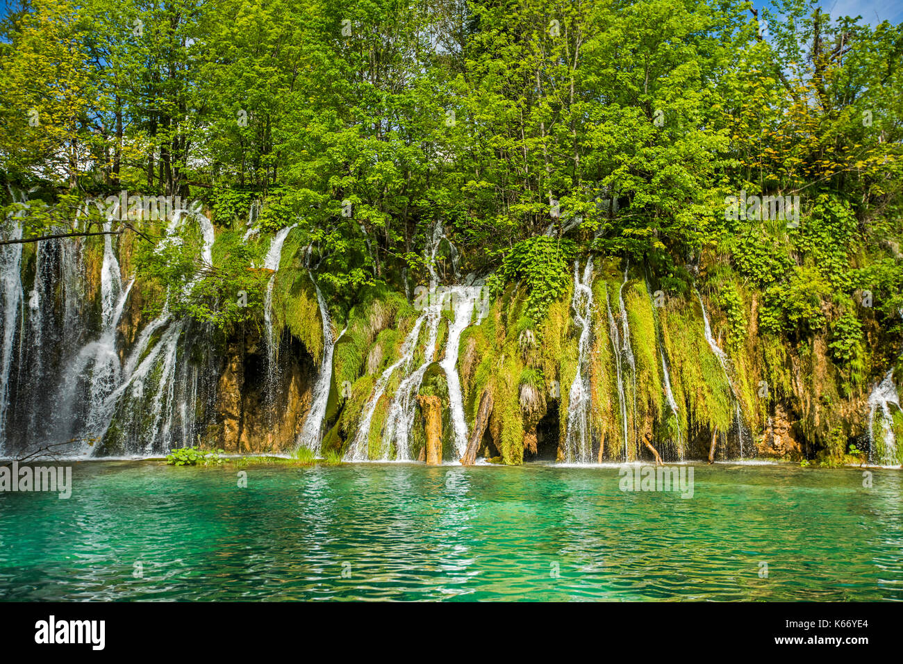 Trees over waterfalls Stock Photo - Alamy