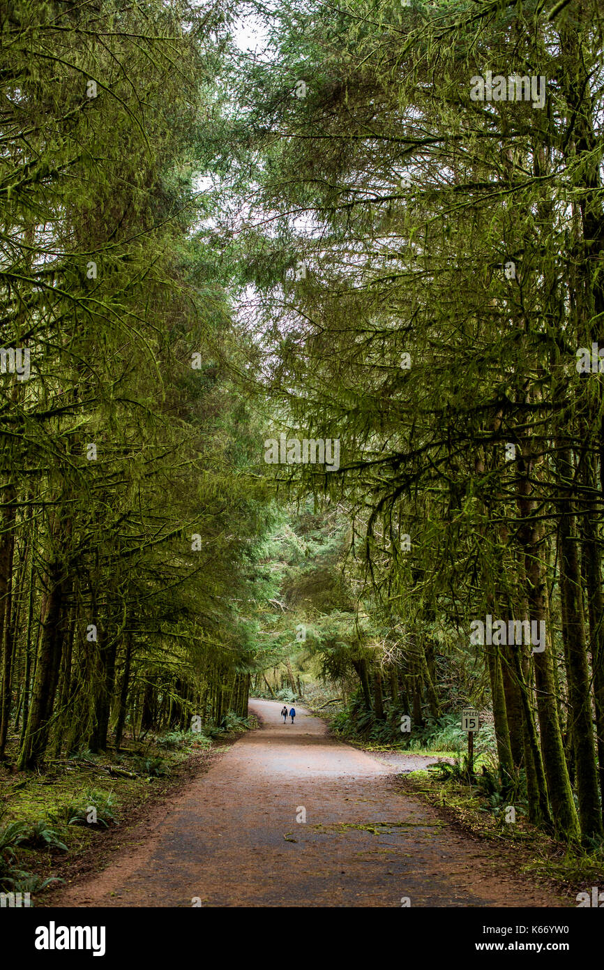 Distant people standing in tree-lined street Stock Photo - Alamy