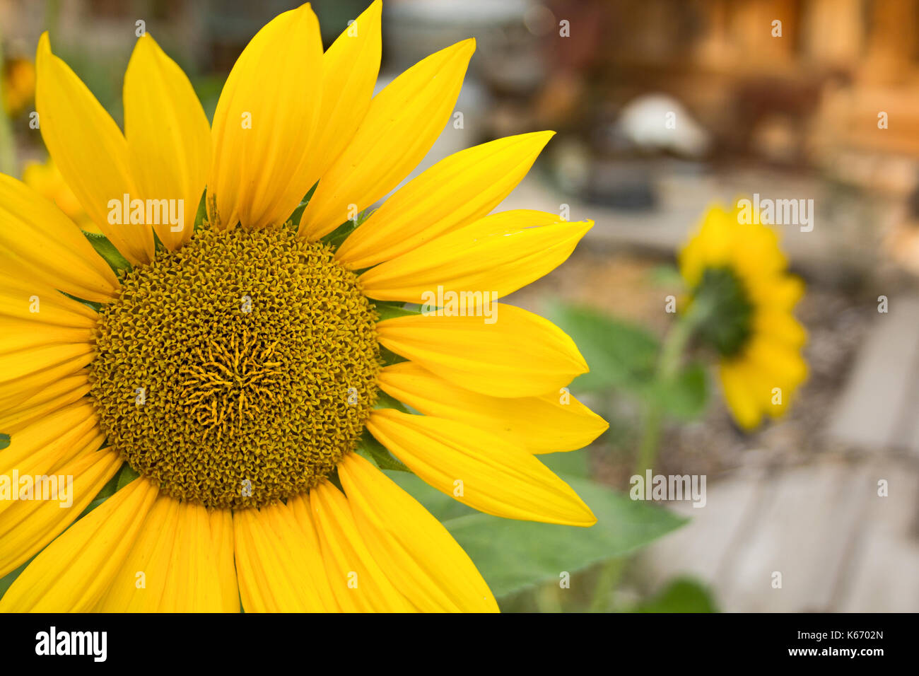 Outlook flower garden hi-res stock photography and images - Alamy