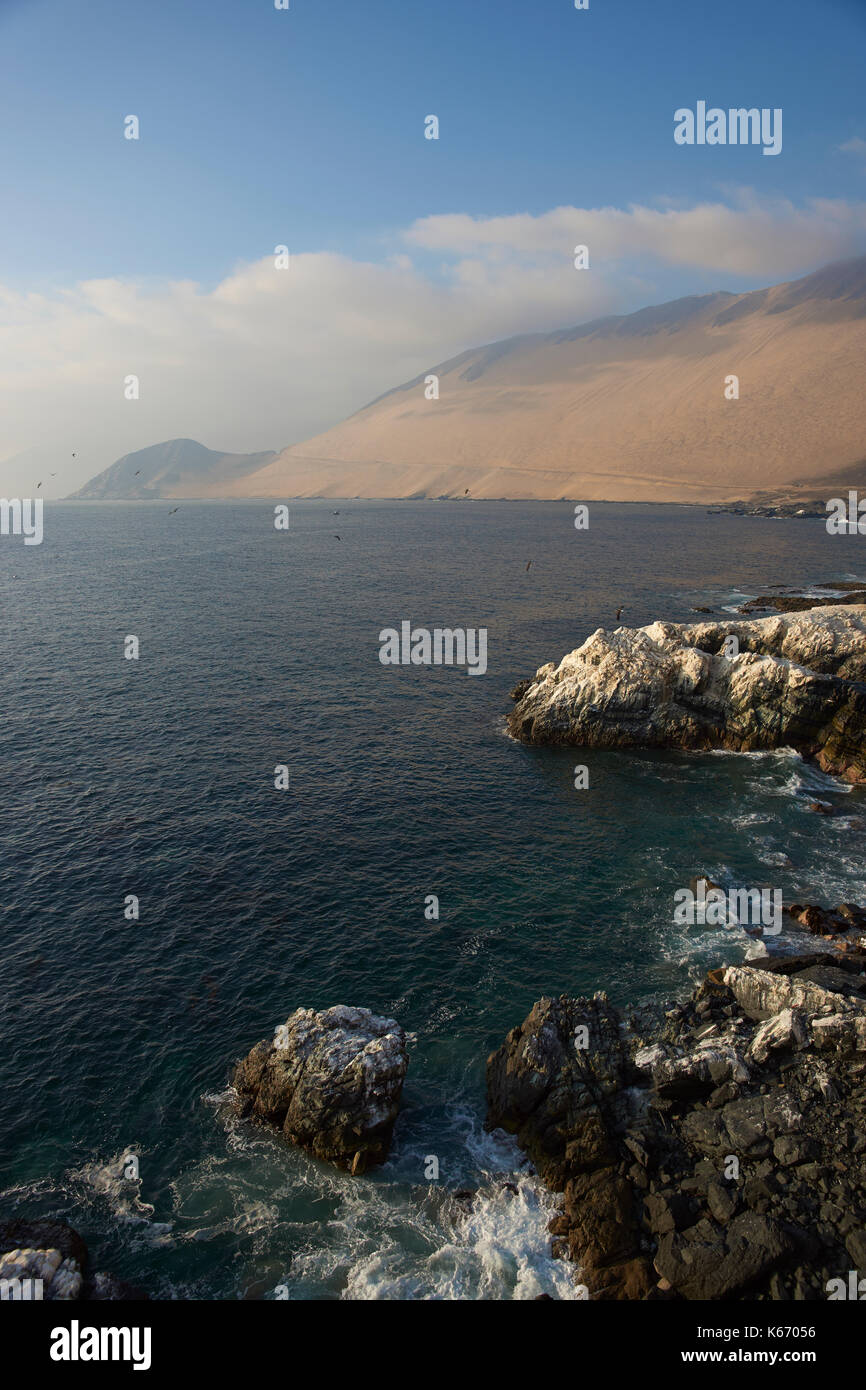 White guano covered cliffs along the Pacific coast of northern Chile ...