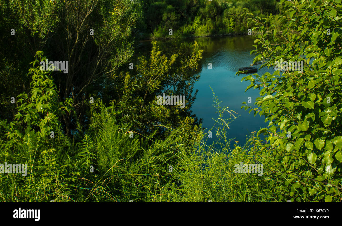 Droopy trees hi-res stock photography and images - Alamy