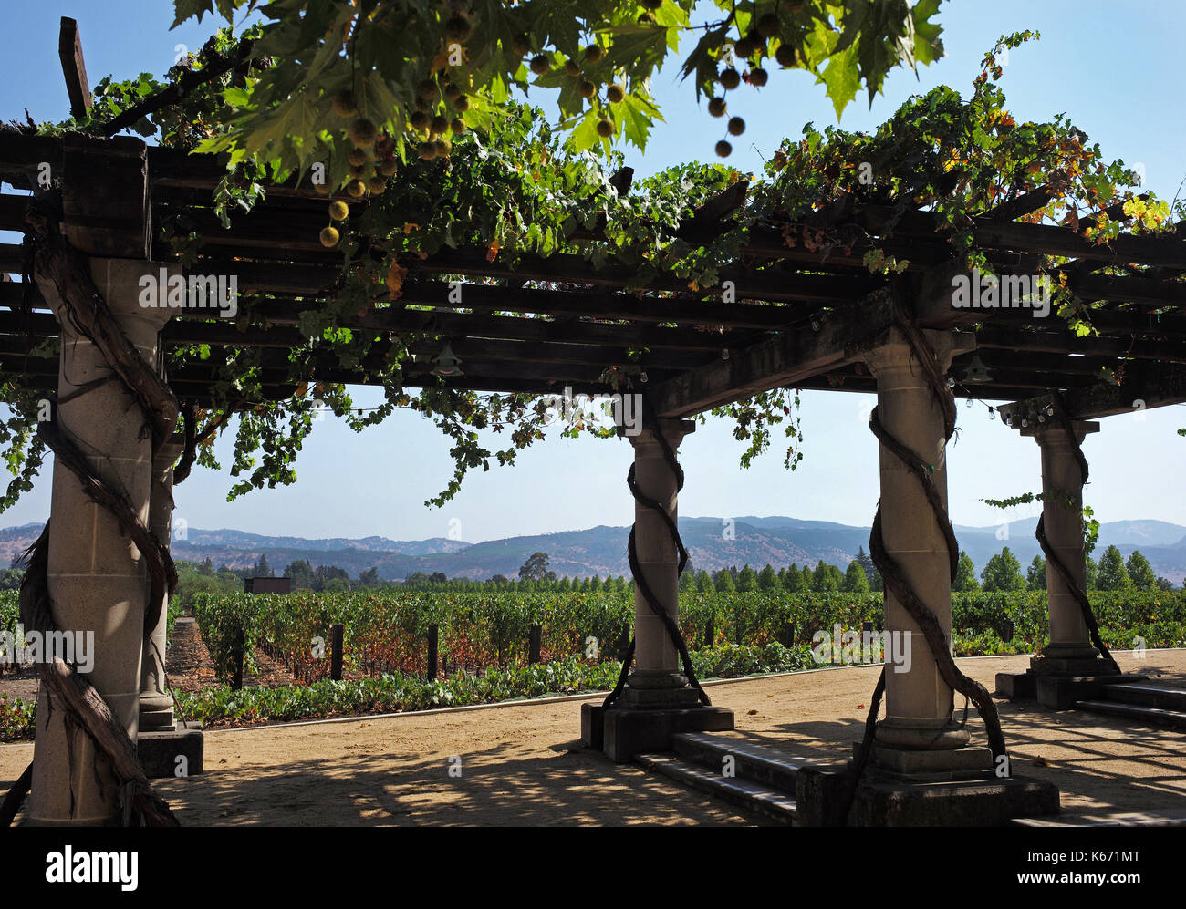 French terrace at Inglenook winery in Rutherford, California Stock ...