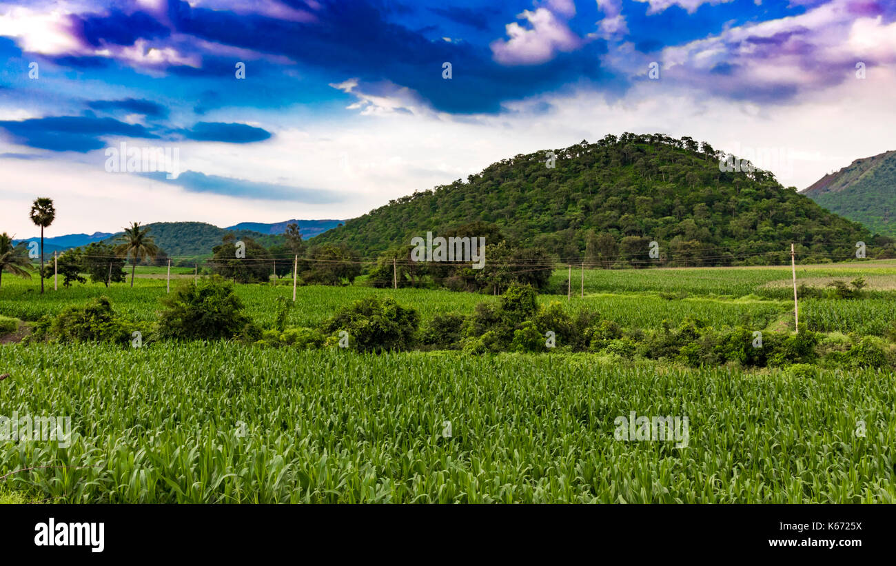 Karnataka india countryside hi-res stock photography and images - Alamy