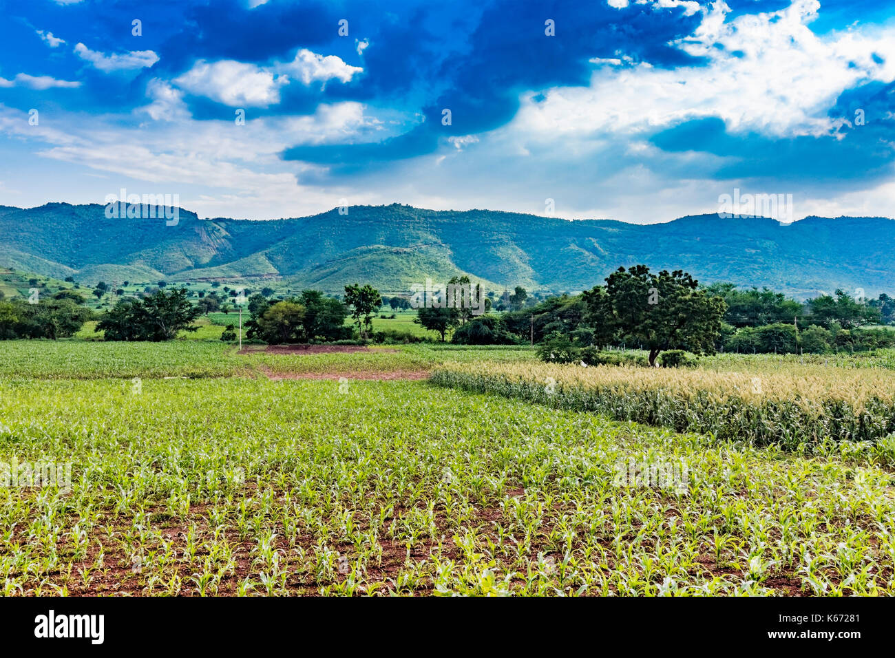 Indian farming countryside hi-res stock photography and images - Alamy