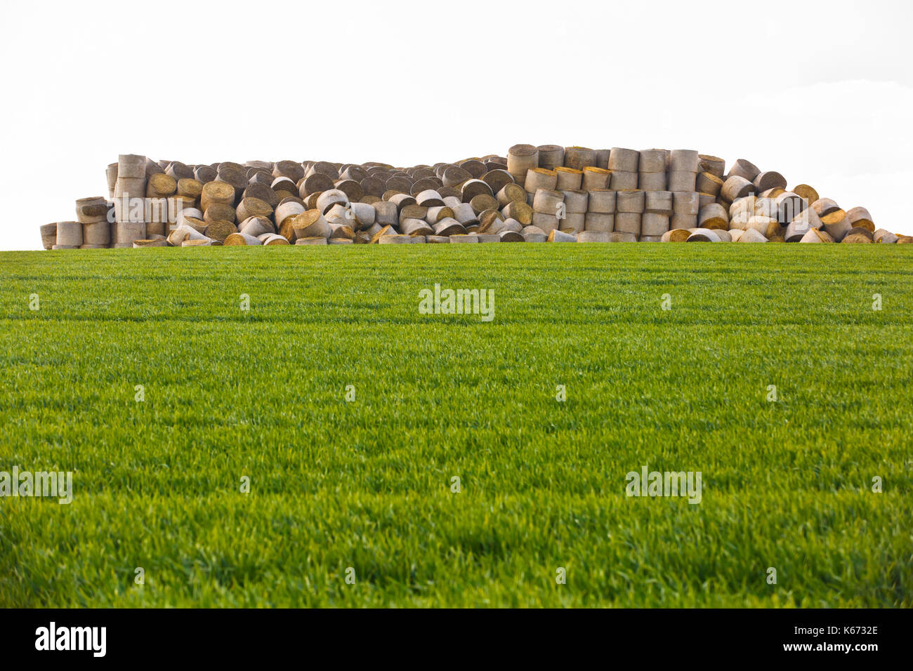 Haystack in middle of the field, prepared animal fodder on a farm ...