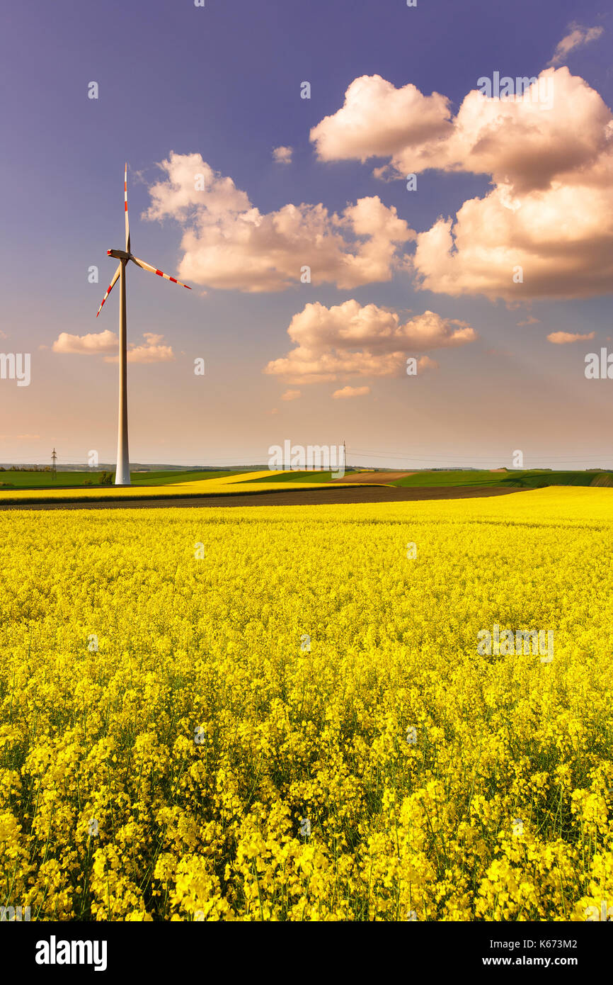 Wind farm with spinning wind turbines amidst agricultural land of ...