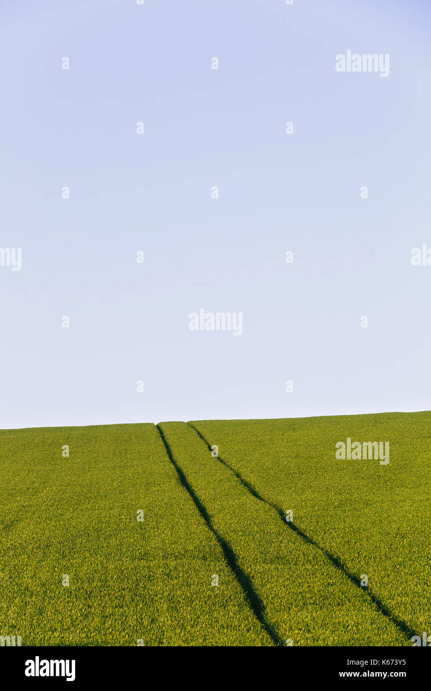 Large scale food production hi-res stock photography and images - Alamy