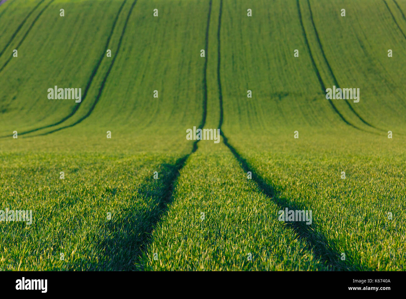Large scale production hi-res stock photography and images - Alamy