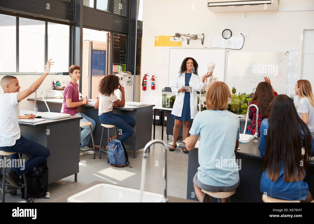 Pupils raising hands in a high school science lesson Stock Photo - Alamy