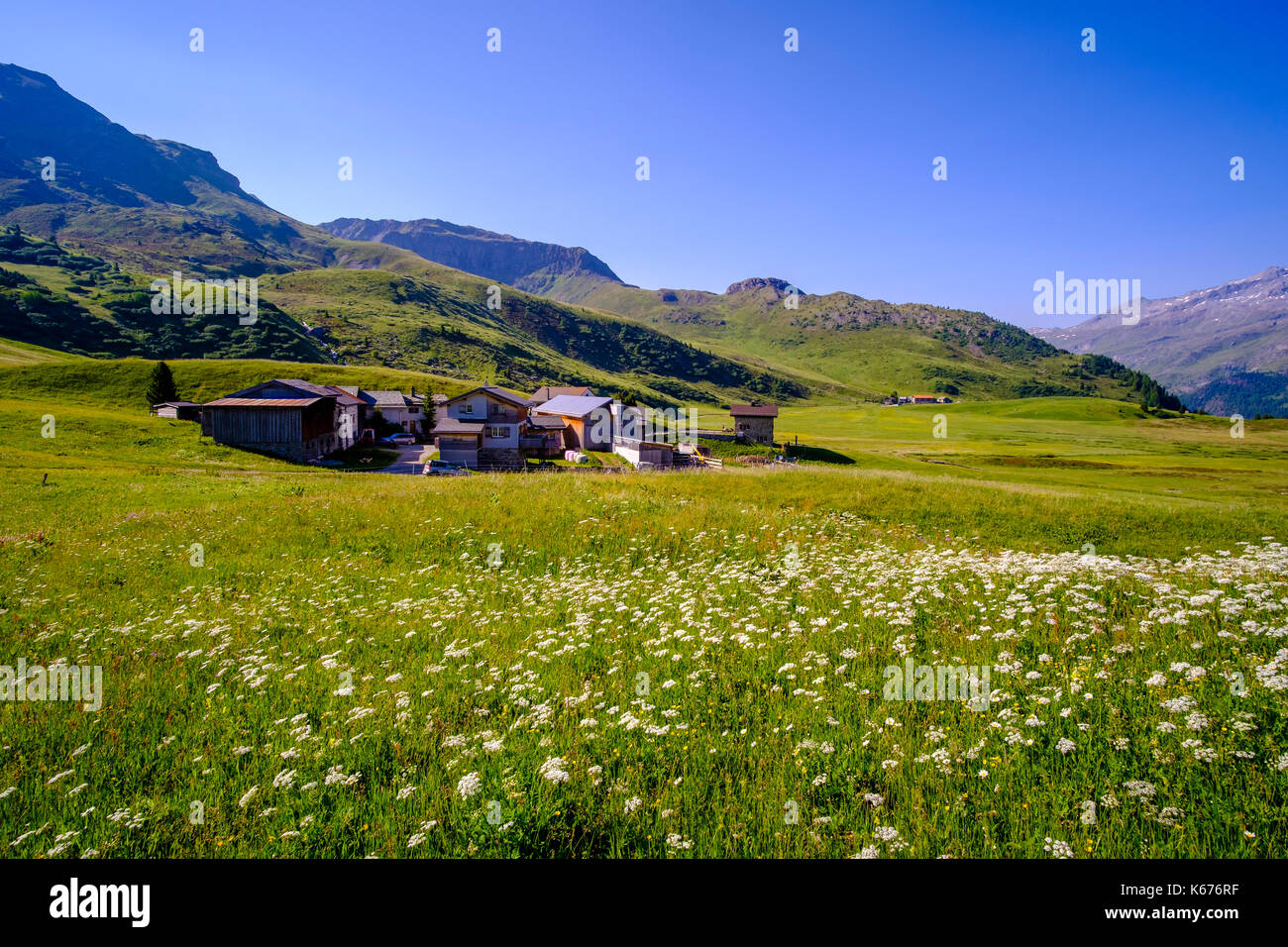 Landscape with green meadows, flowers, farmhouses and mountain slopes ...