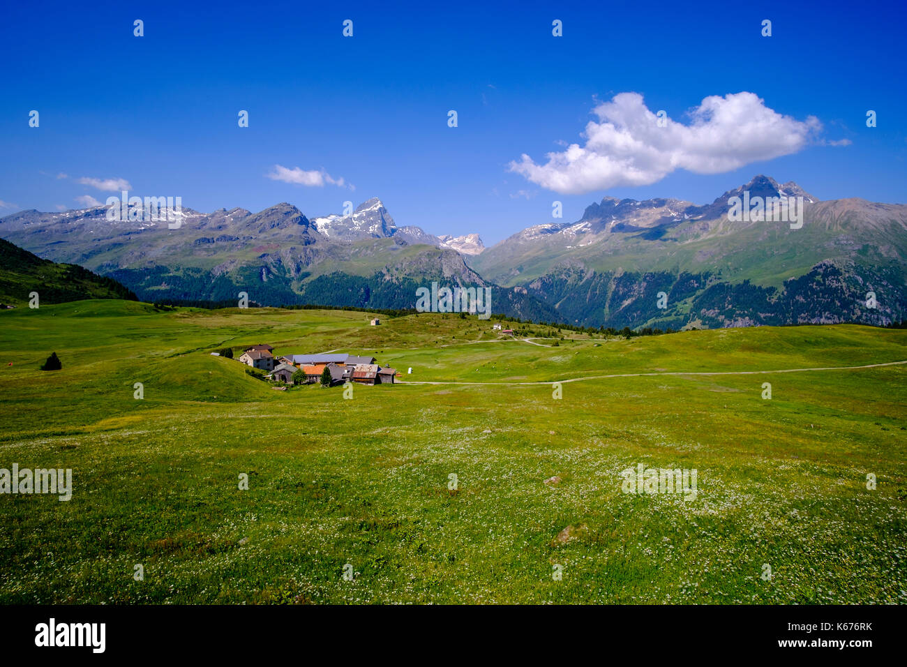 Landscape with green meadows, flowers, farmhouses and mountain slopes ...