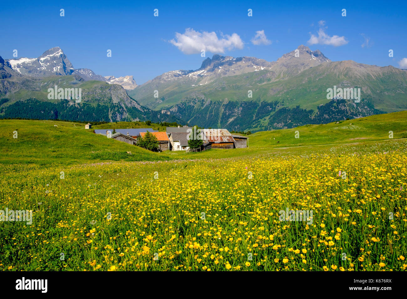 Landscape with green meadows, flowers, farmhouses and mountain slopes ...