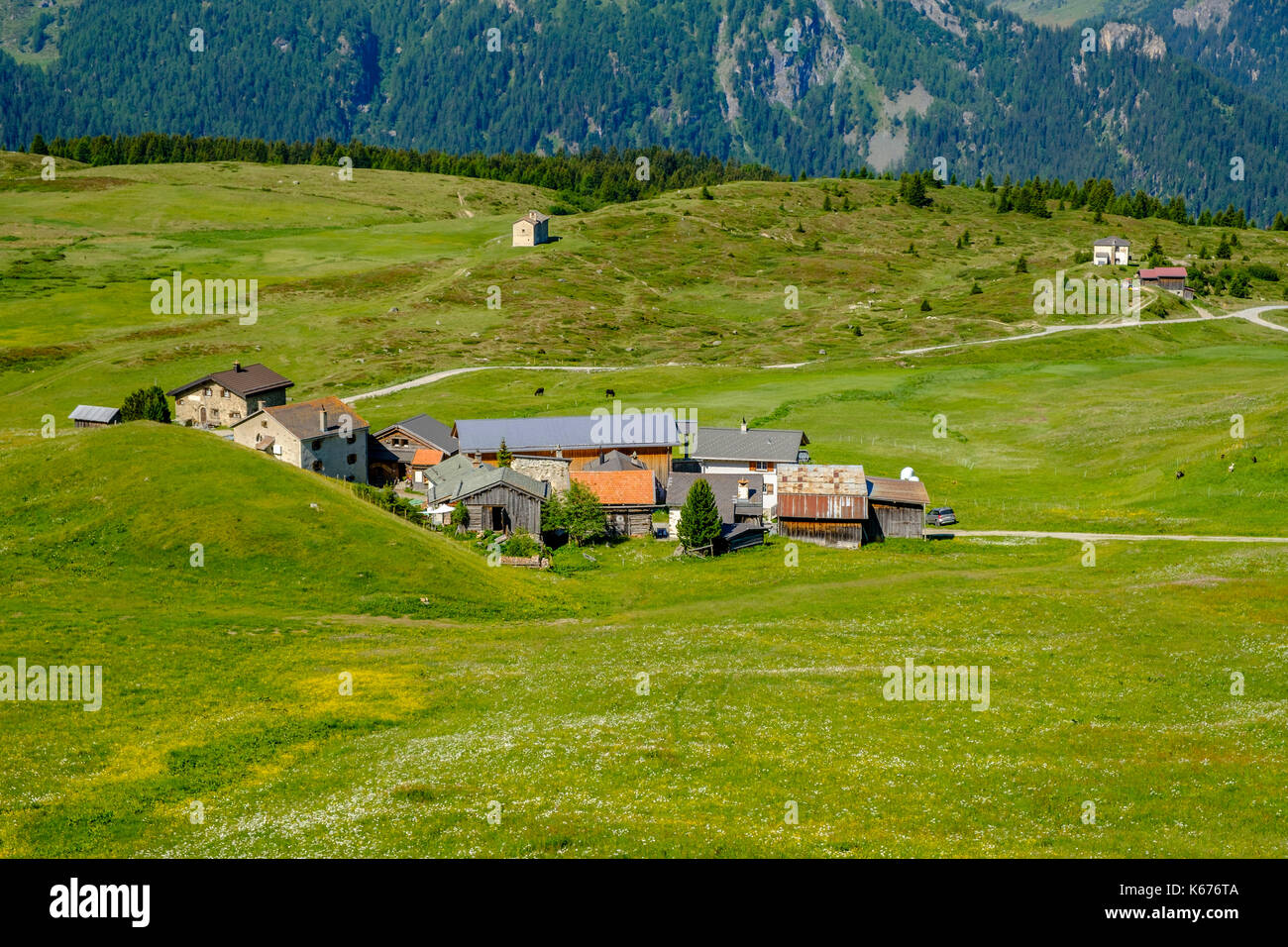 Landscape with green meadows, flowers, farmhouses and mountain slopes ...