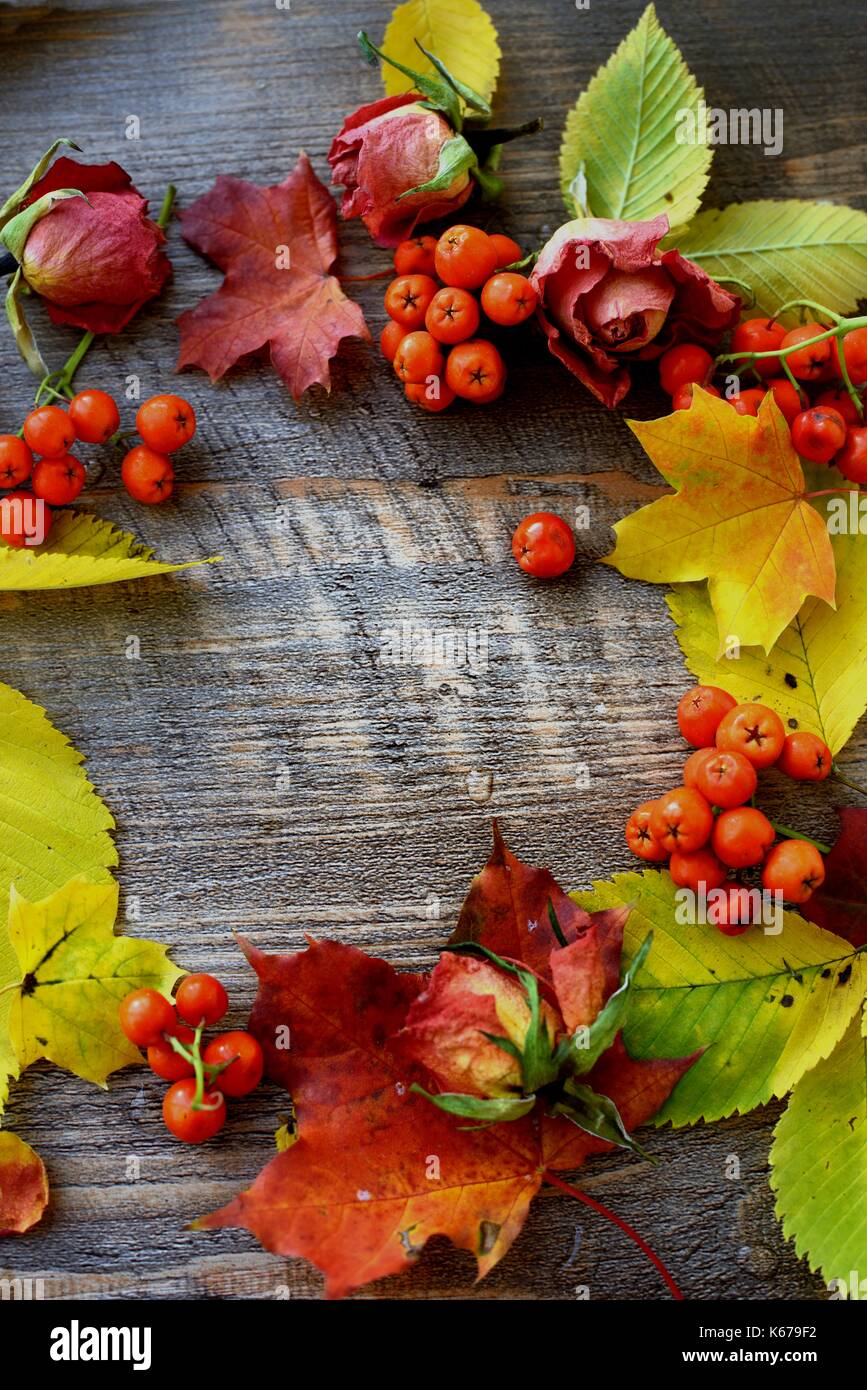 Maple backgrounds hi-res stock photography and images - Alamy