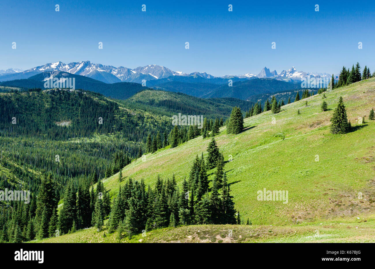 Alpine meadows and mountains, Manning Park, British Columbia, Canada ...