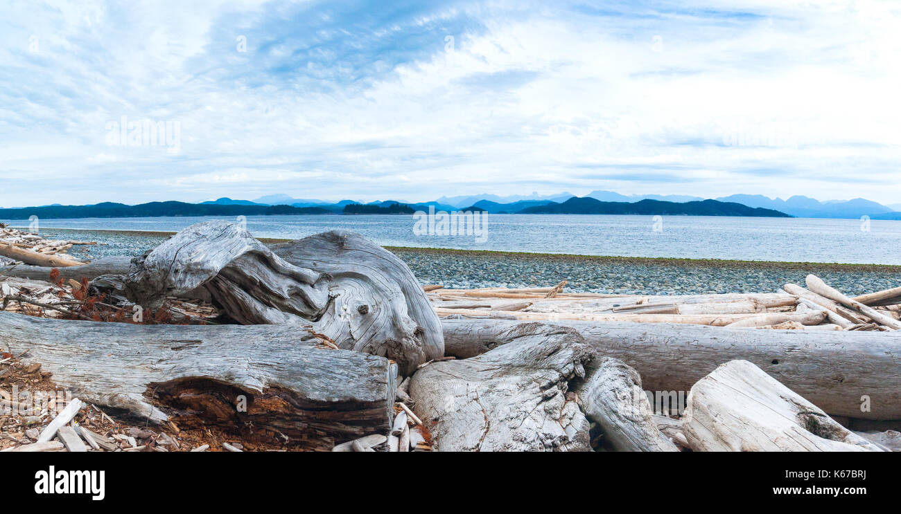 Rebecca spit road provincial park hi-res stock photography and images ...