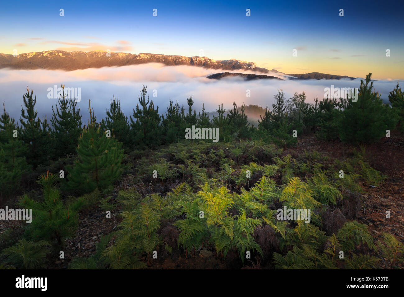 Mount Buffalo, Hume, Victoria, Australia Stock Photo - Alamy