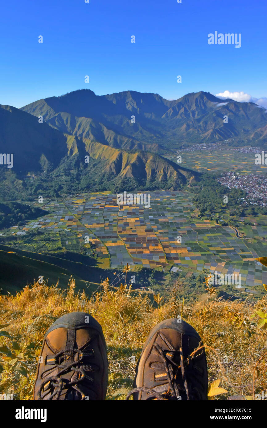 Paddy field view hi-res stock photography and images - Alamy