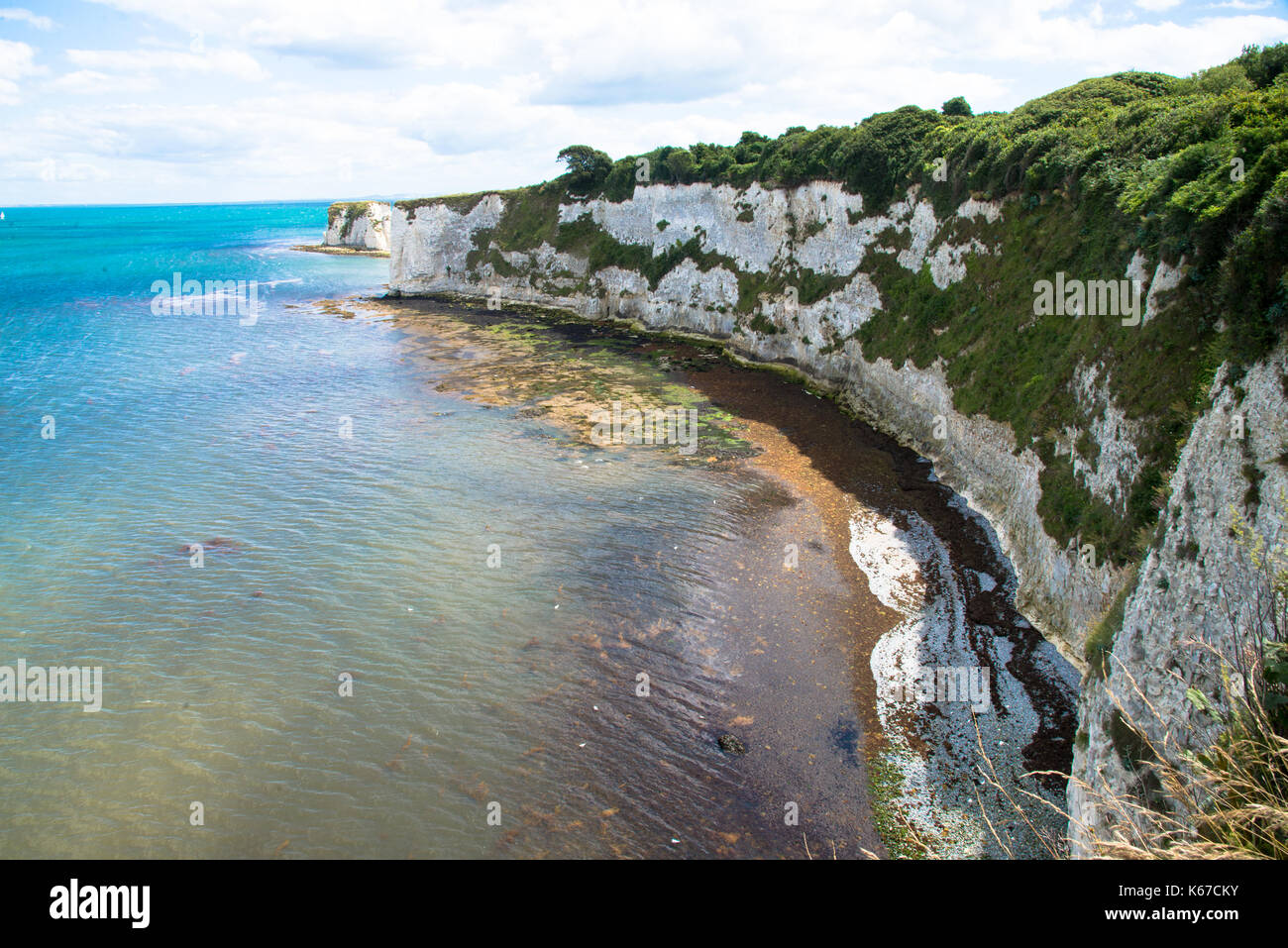 Old Harry, chalk cliffs at the so called Jurassic coast in Dorset ...