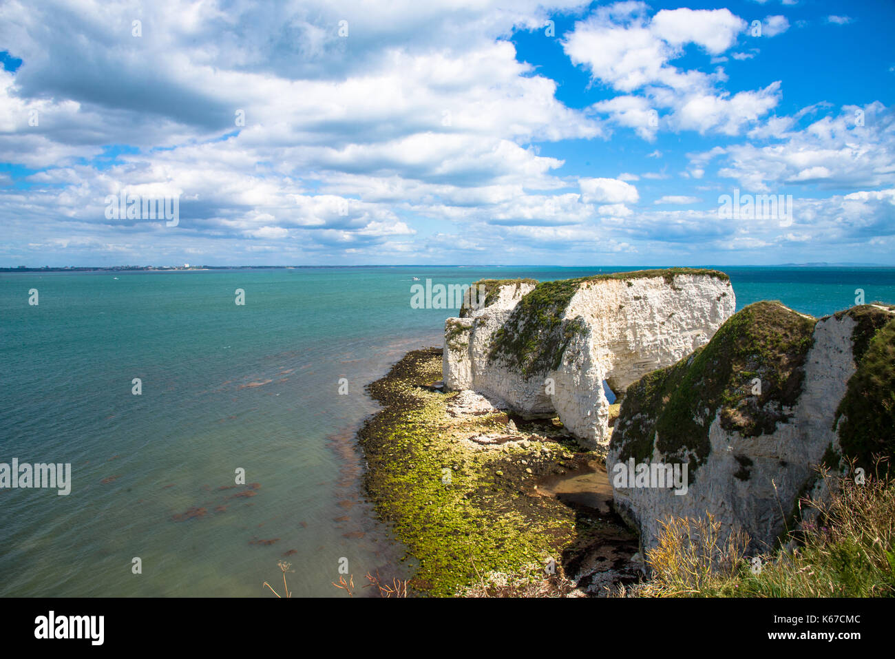 Old Harry, chalk cliffs at the so called Jurassic coast in Dorset ...
