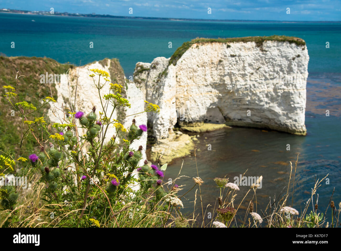 Old Harry, chalk cliffs at the so called Jurassic coast in Dorset ...