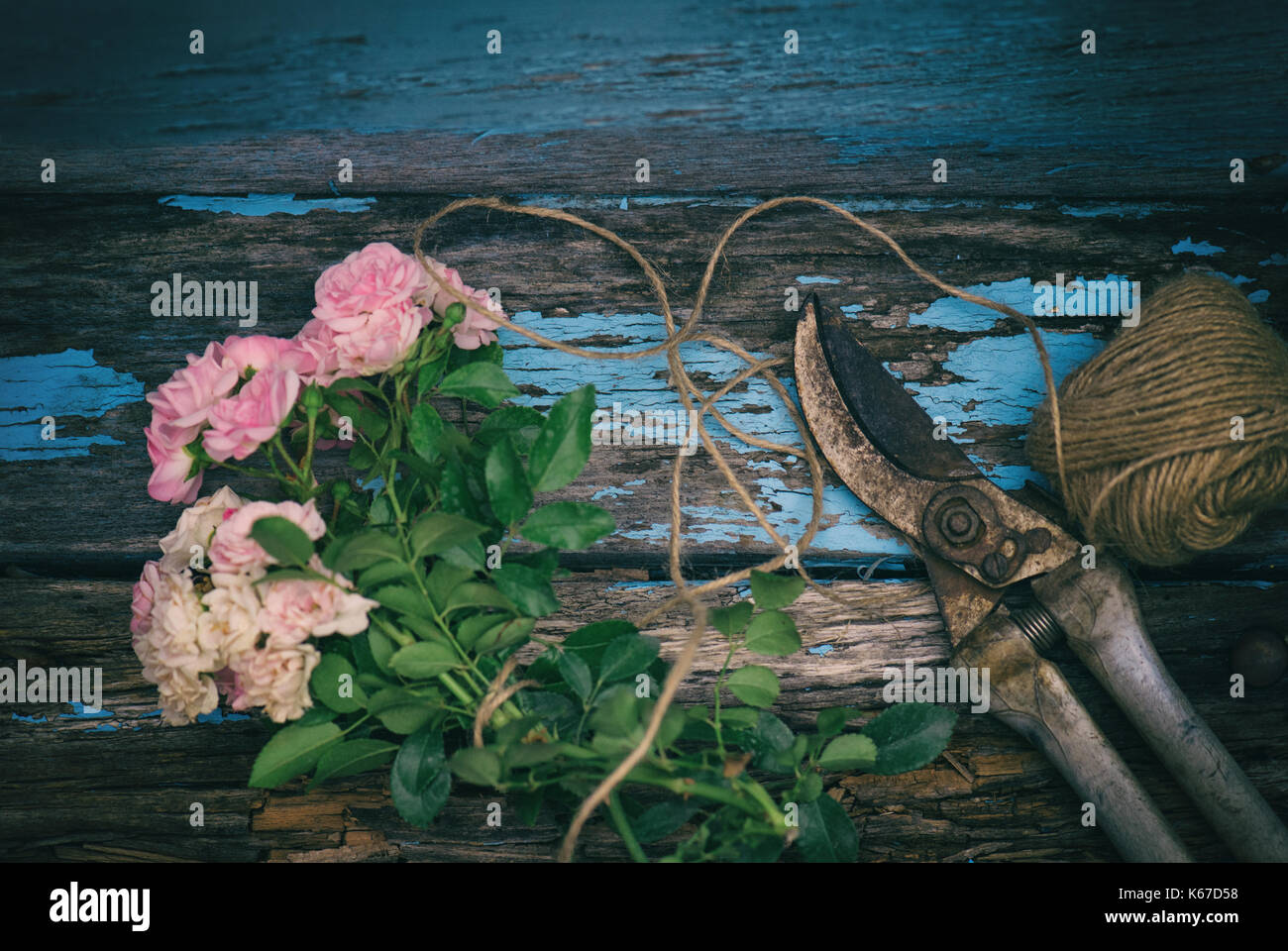 Roses, garden pruner and rope Stock Photo - Alamy