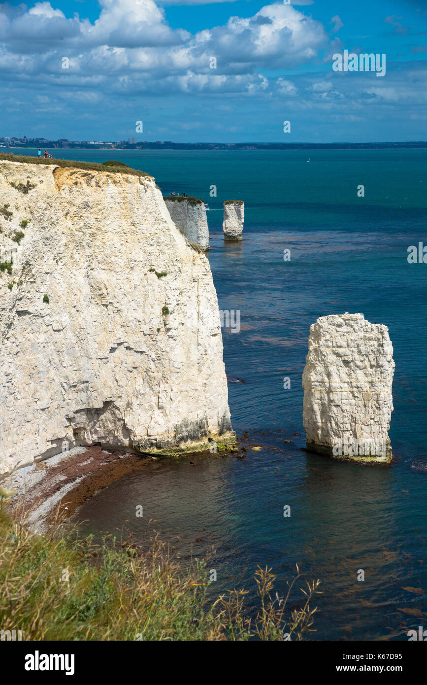 Old Harry, chalk cliffs at the so called Jurassic coast in Dorset ...