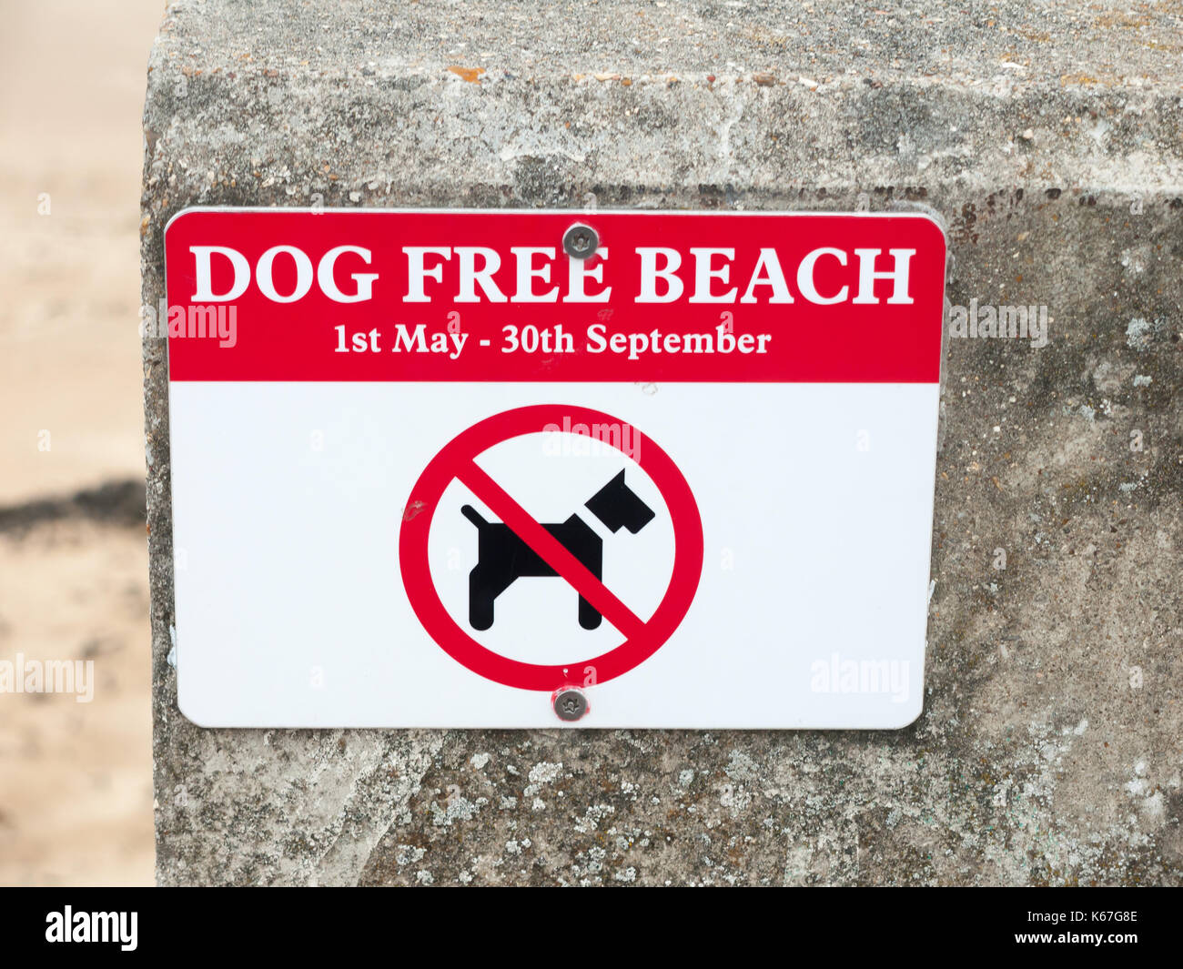 dog free beach red and white sign on wall beach dovercourt harwich ...