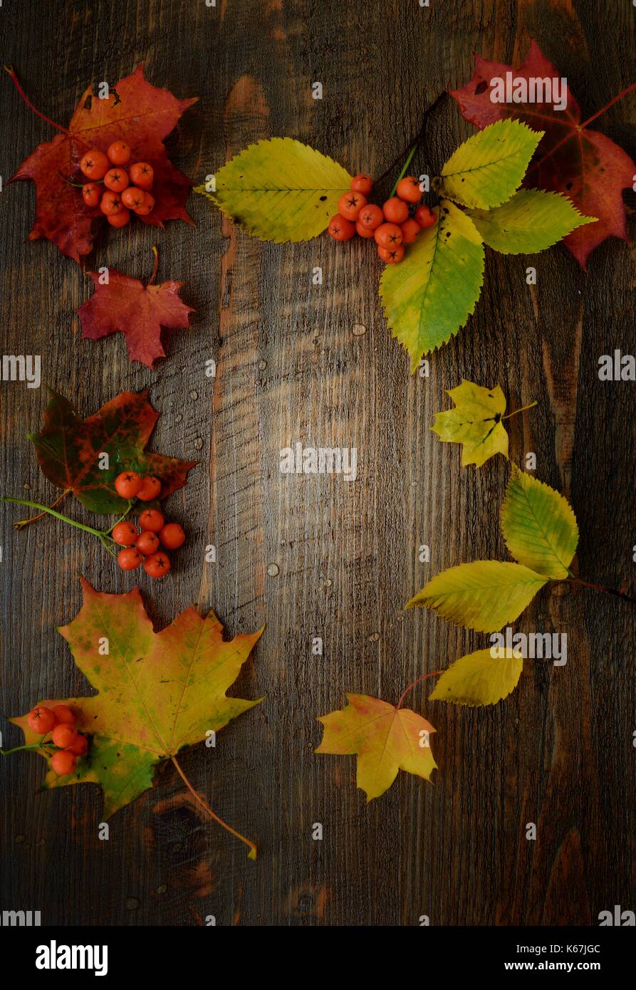 Season composition hi-res stock photography and images - Alamy