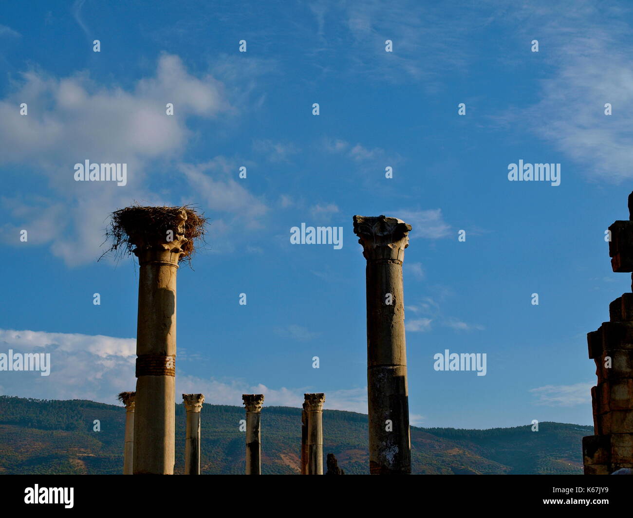 Roman ruins of Volubilis Stock Photo - Alamy