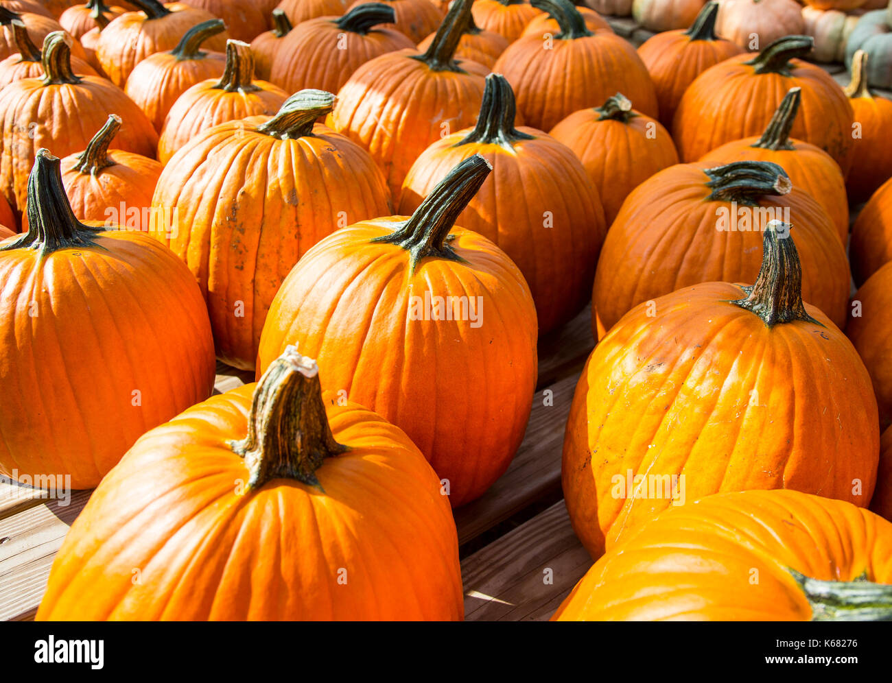 Pumpkin farm stand hi-res stock photography and images - Alamy